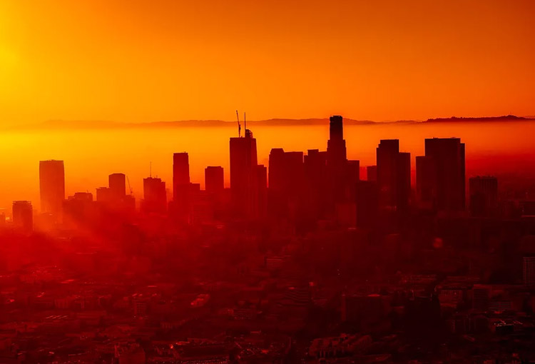 ¿Qué es el Exposoma y por qué debería importarte? - Eugenia Reboll